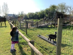Hobbledown Adventure Farm Surrey - Epsom Family Day Out
