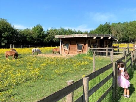 Hobbledown Adventure Farm Surrey - Epsom Family Day Out