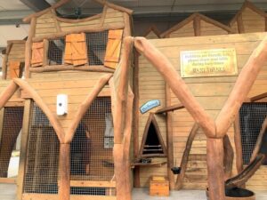 Hobbledown Adventure Farm Surrey - Epsom Family Day Out