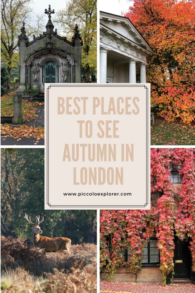 Fall Foliage London - Best Places to see Autumn Colours in London