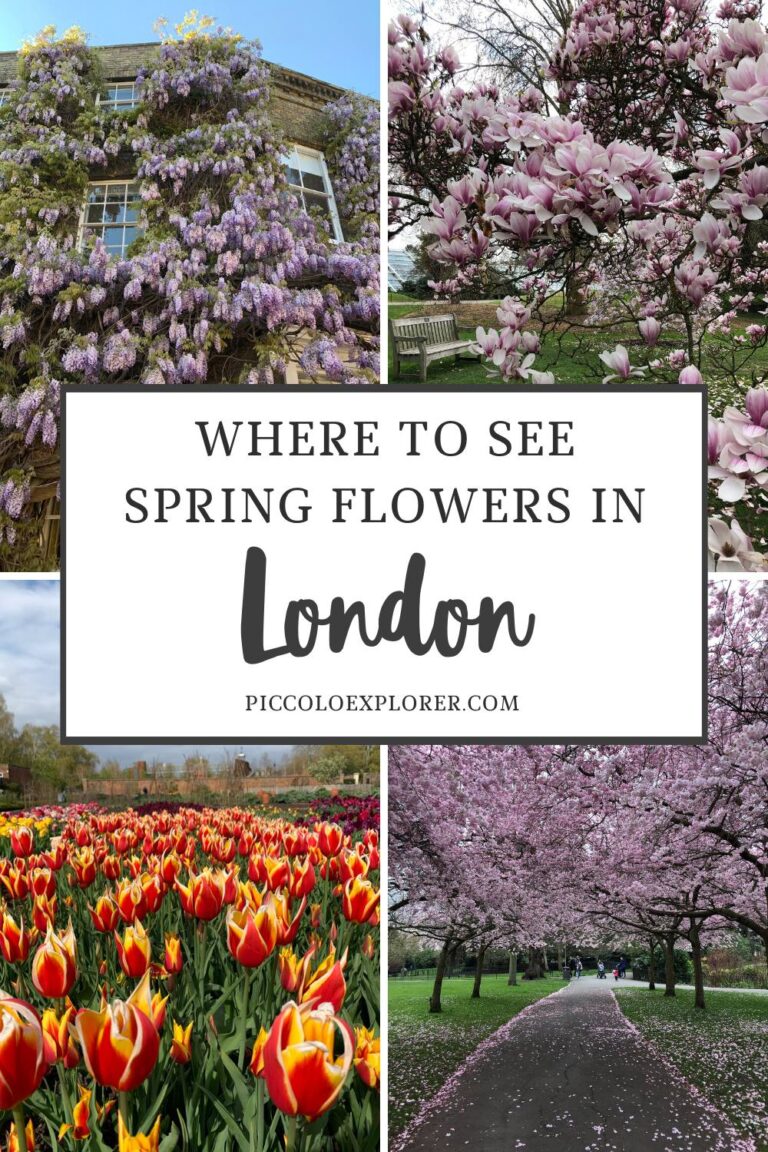 Spring Flowers in London - Best Places to see Spring Blossoms