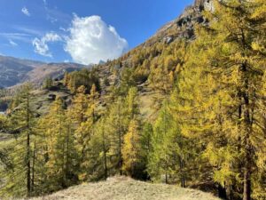 Autumn in Zermatt with Kids